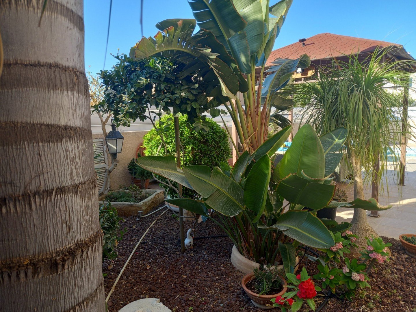 HR-123003 €5000 - INDEX.cy