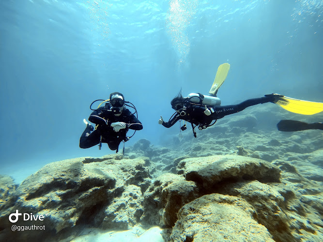 Poseidon Dive Centre, Protaras, Cyprus - Places in Cyprus - INDEX.cy